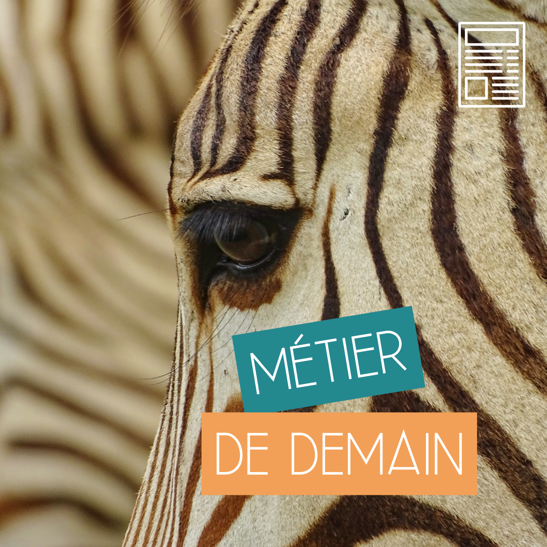 Focus métiers - FACE Maine et Loire